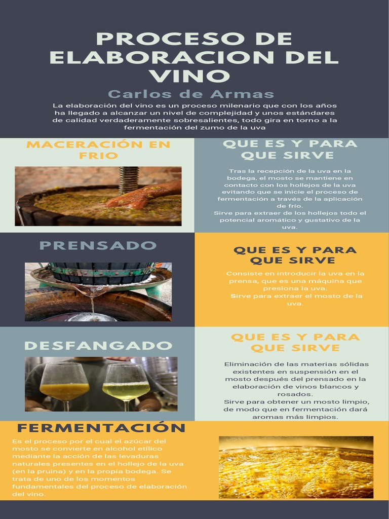 Proceso de Elaboracion Del Vino | PDF | Vinificación | Vino