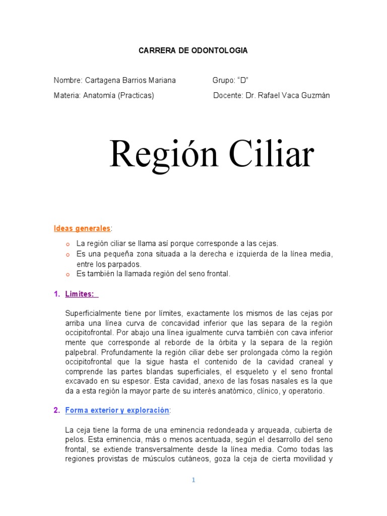 Anatomía de la región ciliar: estructuras, vasos, nervios y senos ...