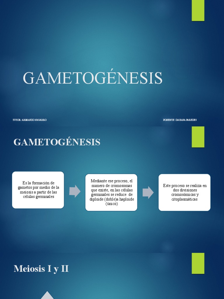 GAMETOGÉNESIS | PDF | Mitosis | Genética