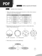 SpongeBob Genetics 2 Answers | PDF