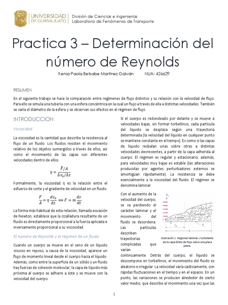 Practica 3 - Determinacion Del Numero de Reynolds | PDF | Numero Reynolds | Viscosidad