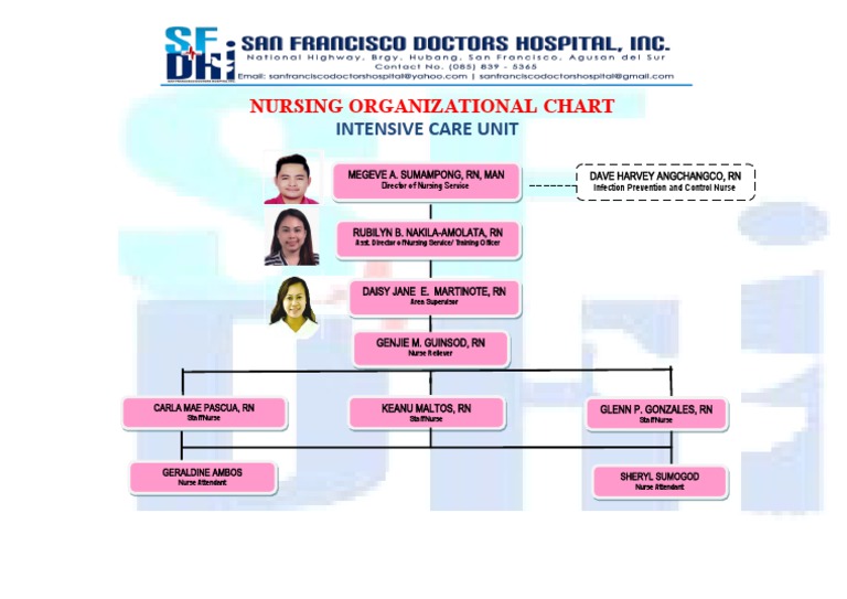 Nursing Org Chart