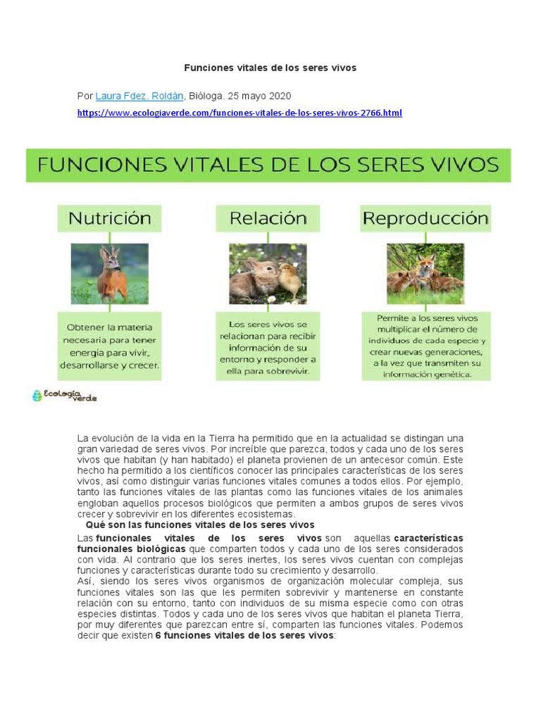 Funciones Vitales de Los Seres Vivos | PDF | Organismos | Plantas