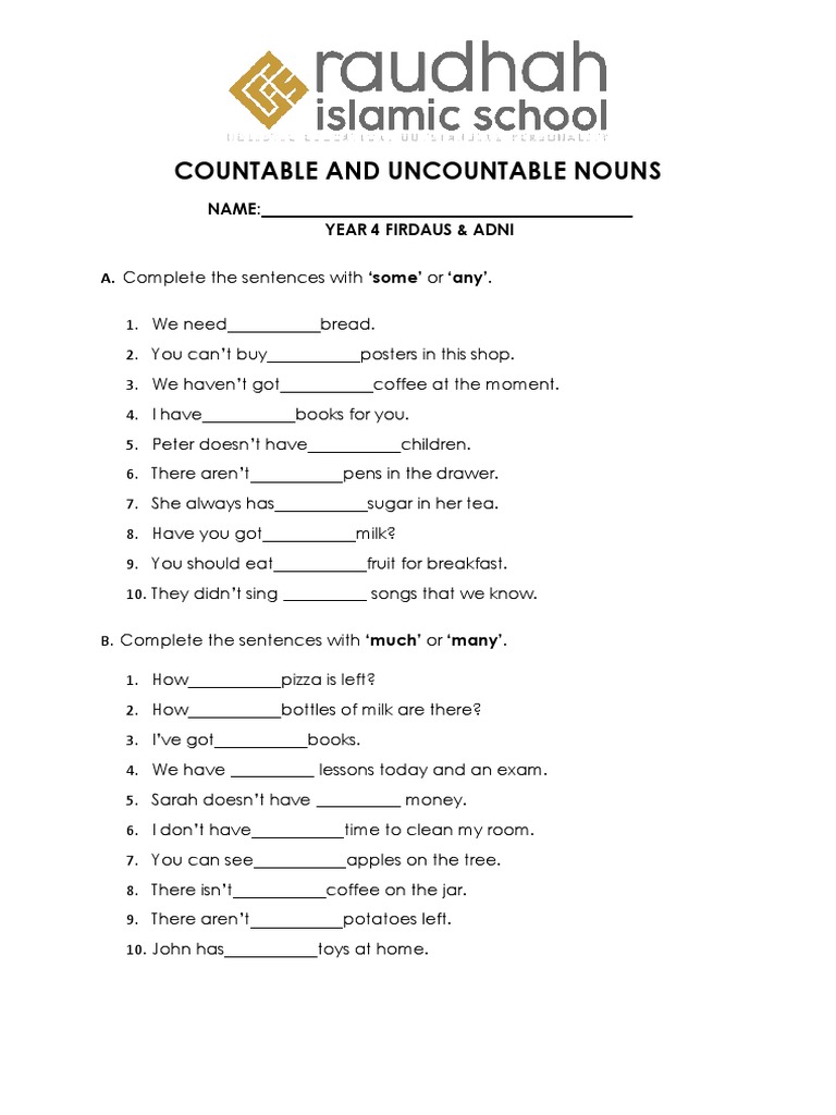 Exercise Countable & Uncountable (Some, Any, Much & Many) | PDF