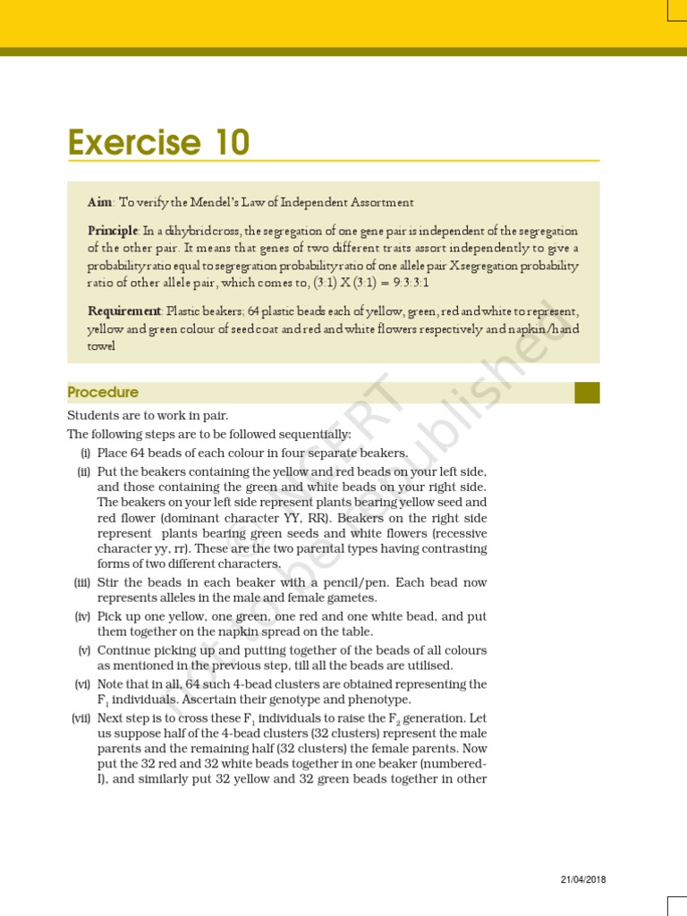 Exercise 10: Procedure | Download Free PDF | Dominance (Genetics) | Genotype