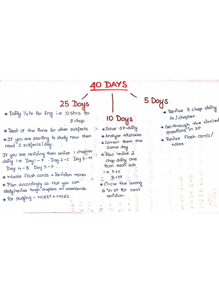40 Days Plan | PDF