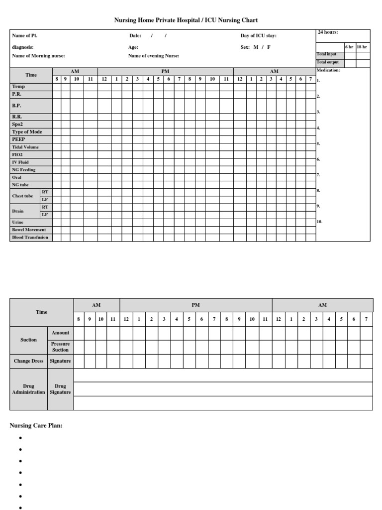 Nursing Home Private Hospital / ICU Nursing Chart: 6 HR 18 HR | PDF ...