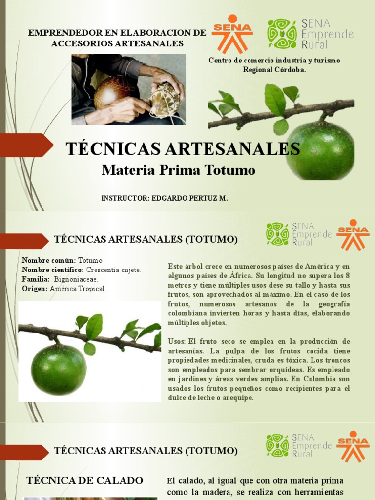 Tecnicas Artesanales (Totumo) | PDF