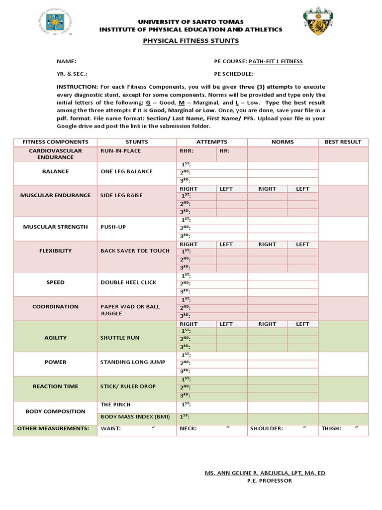 Physical Fitness Stunts Template | PDF | Determinants Of Health | Hobbies