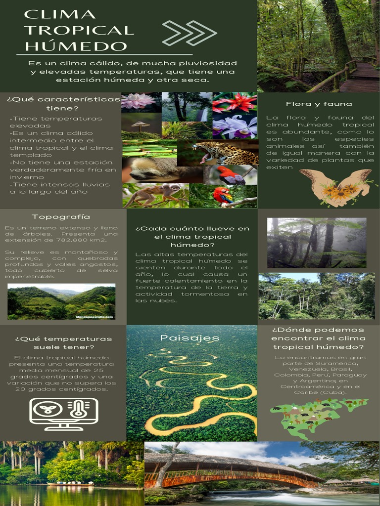 Clima Tropical Húmedo: Características y Ubicación | PDF | Clima | Zona ...