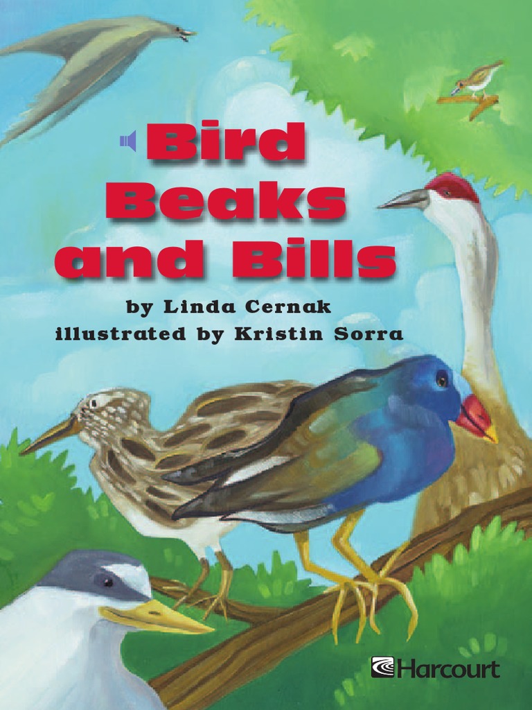 Bird Beaks and Bills | PDF