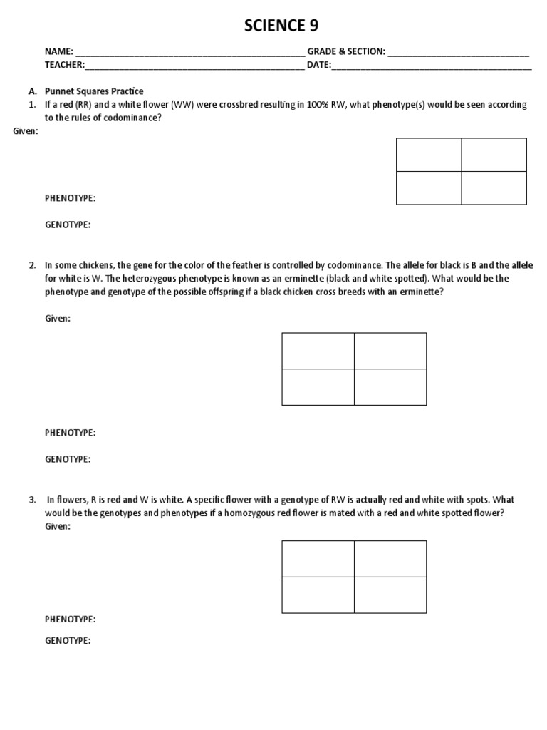 Punnett Squares and Blood Types Practice | PDF | Dominance (Genetics ...