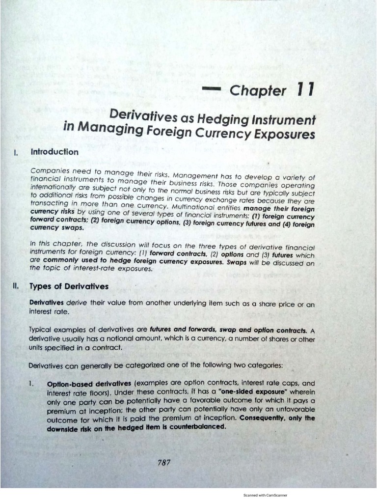 Hedging Instruments Theories and Ptobelms | PDF