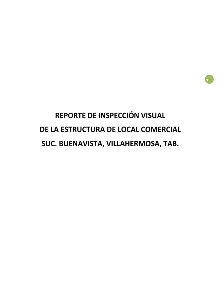 Reporte de Inspeccion Visual - Buenavista | PDF