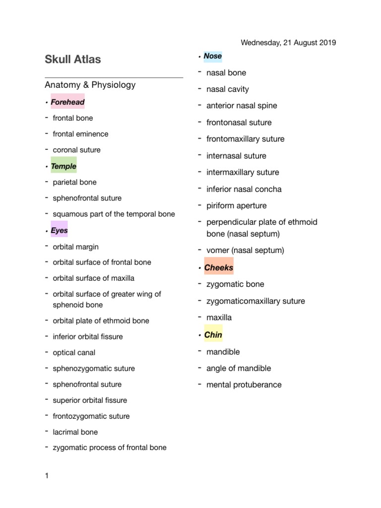 Skull Atlas: Anatomy & Physiology | PDF | Anatomy | Human Head And Neck