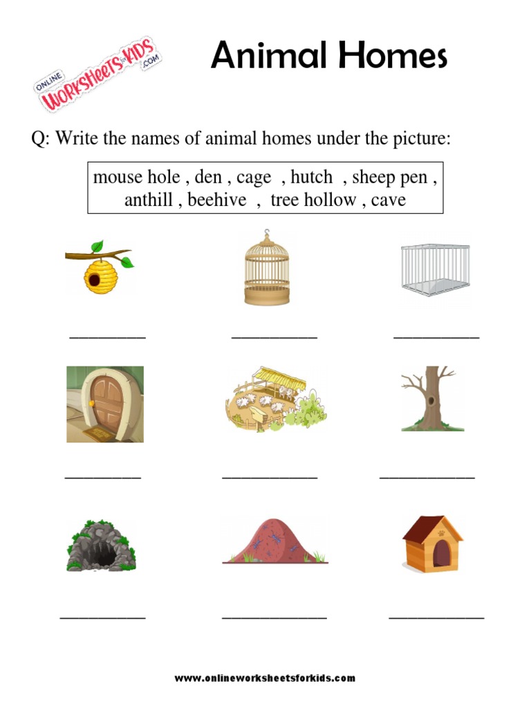 Animal Homes Worksheet For Grade 1-6 | PDF