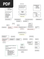 MINDMAP CKD (Chronic Kidney Disease) | PDF