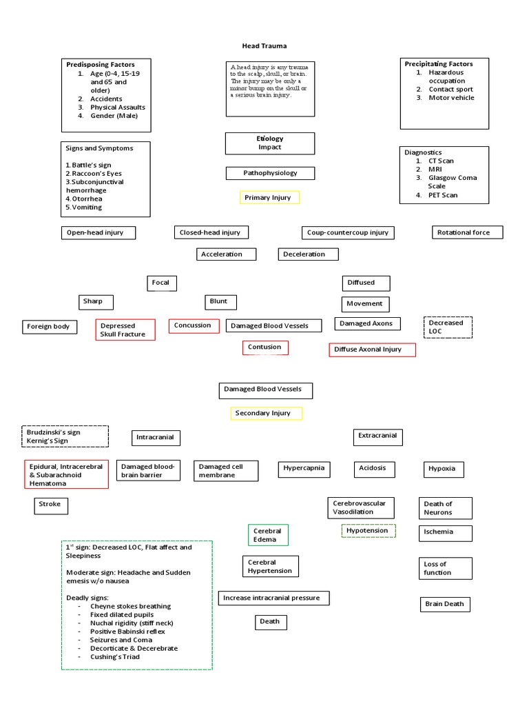 Pathophysiology of Head Trauma | PDF | Traumatic Brain Injury | Physiology