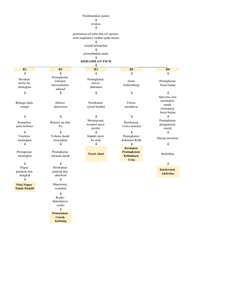 Woc Kehamilan TM Ii | PDF