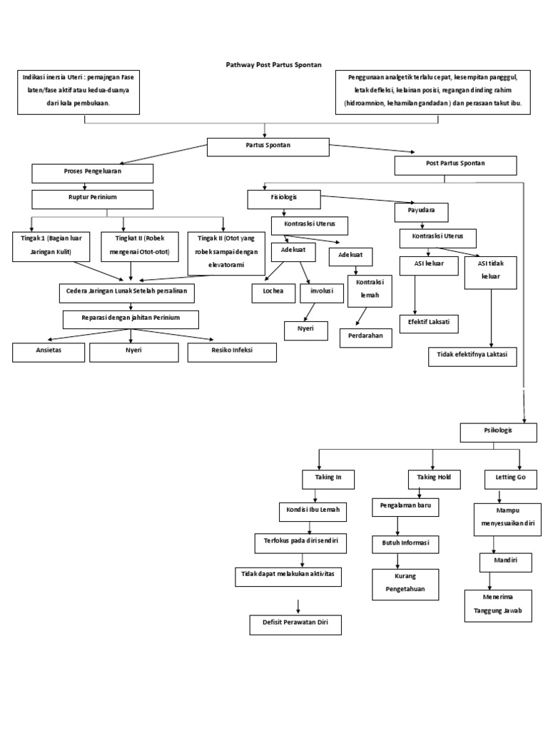 Pathway Post Partus Spontan Eva | PDF