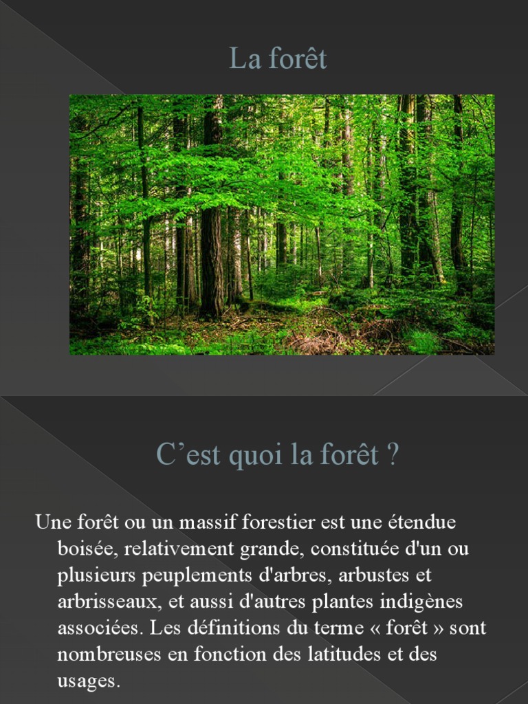 Définition et importance de la forêt | PDF
