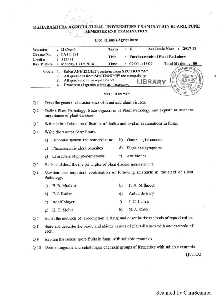 PATH 121 Model Ans .Sheet 2018 | PDF