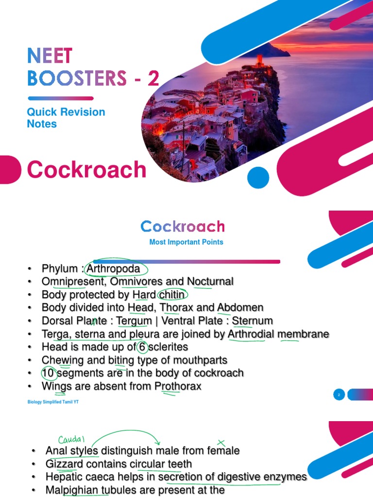 Cockroach Neet Bosters | PDF