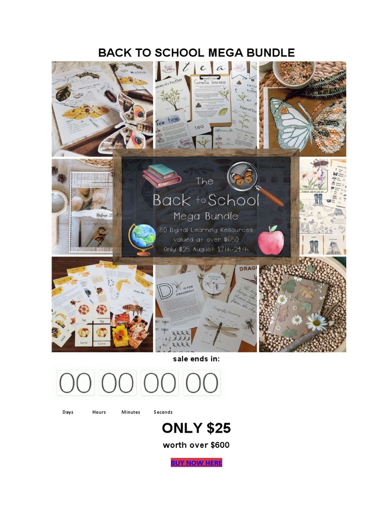 Back To School Mega Bundle | PDF