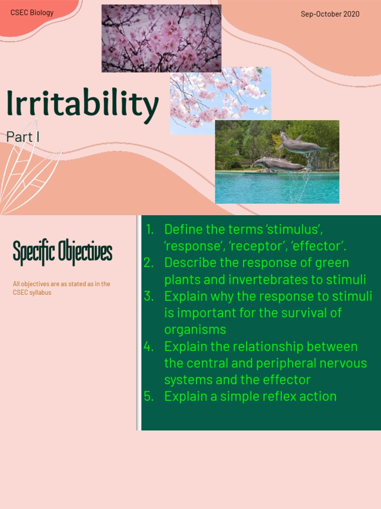 Irritability Part I | PDF | Neuron | Nervous System