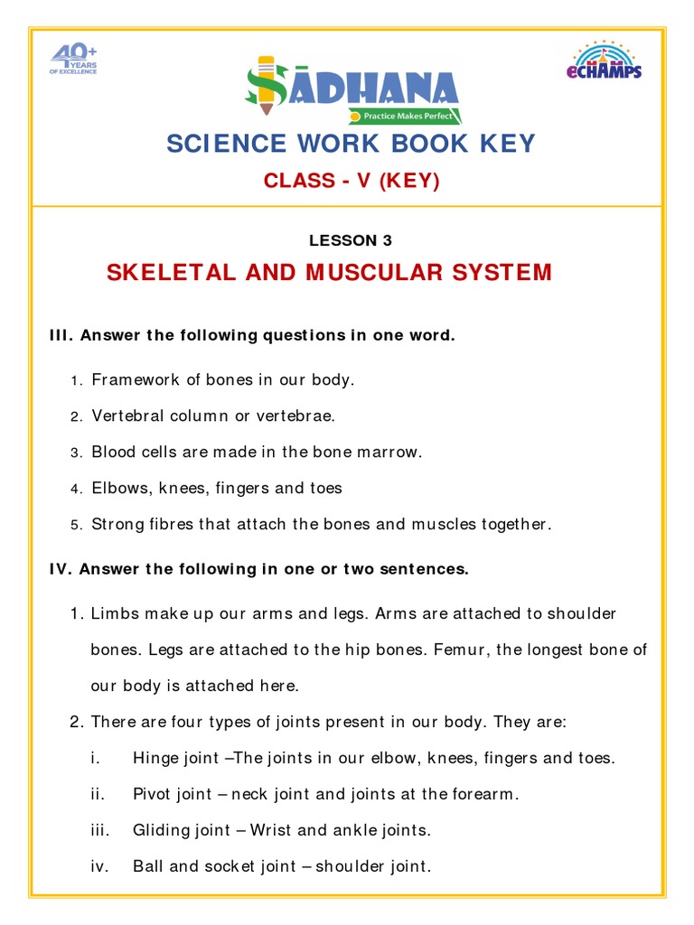 LS 3 - Skeletal and Muscular System | PDF | Skeleton | Arm