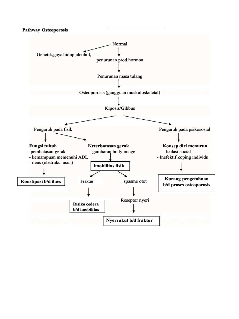 PDF Pathway Osteoporosis Compress | PDF