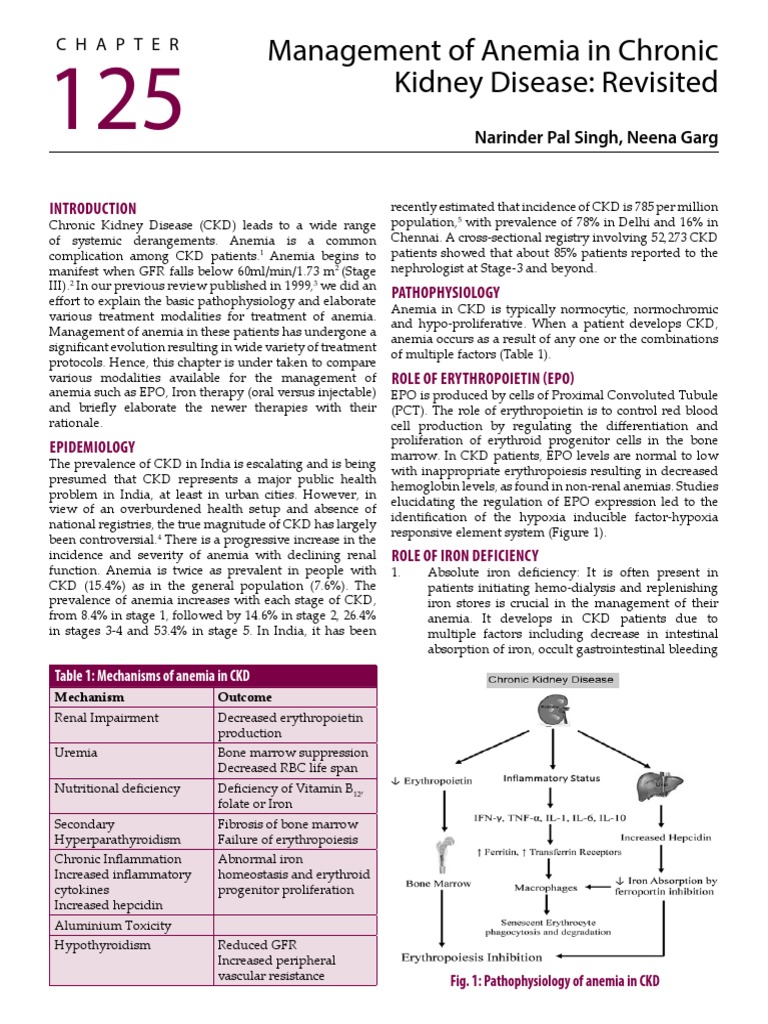 Anemia Pada CKD Algorithm | PDF | Anemia | Chronic Kidney Disease
