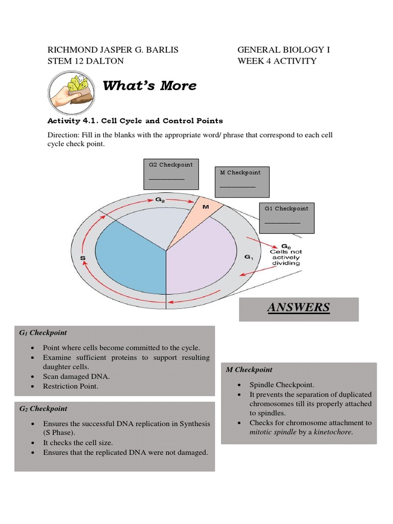 Gen Biology I Week 4 Activity | PDF | Mitosis | Meiosis