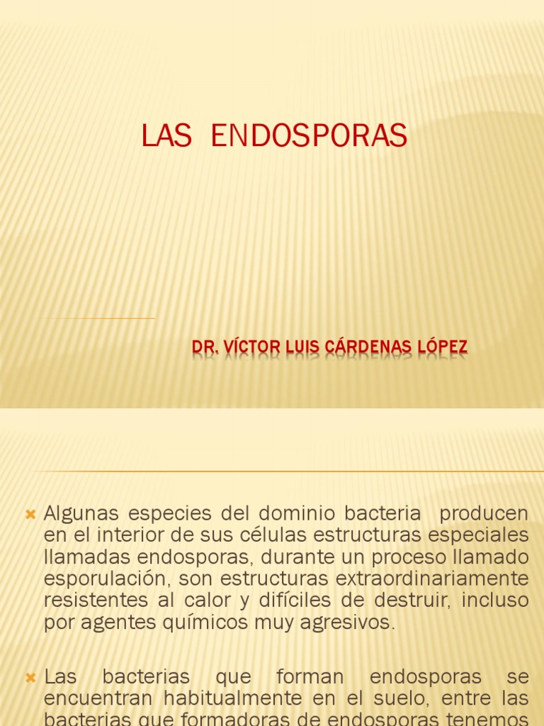 Las Endosporas Descargar Gratis Pdf Biología Celular Citoplasma