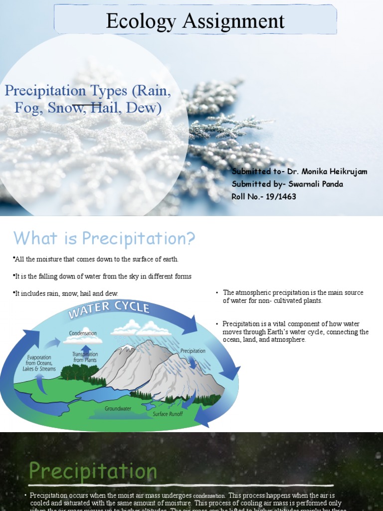 Ecology Assignment: Precipitation Types (Rain, Fog, Snow, Hail, Dew ...