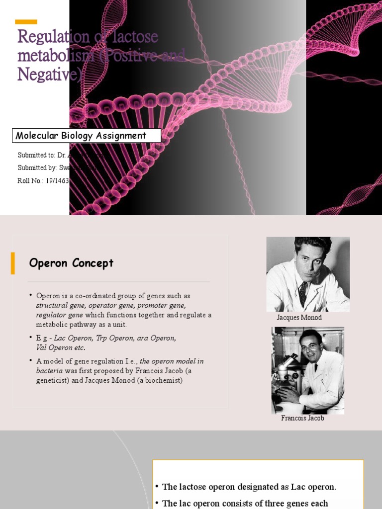 Regulation of Lactose Metabolism (Positive and Negative) : Molecular Biology Assignment | PDF ...