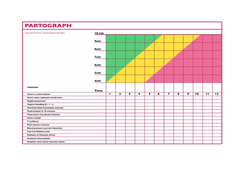 Partograph Form For Exercises | PDF