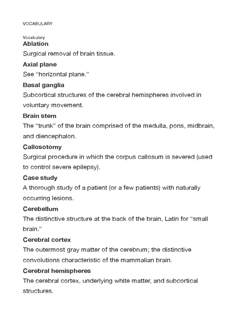 Vocabulary Brain 1 | PDF | Cerebral Cortex | Brain