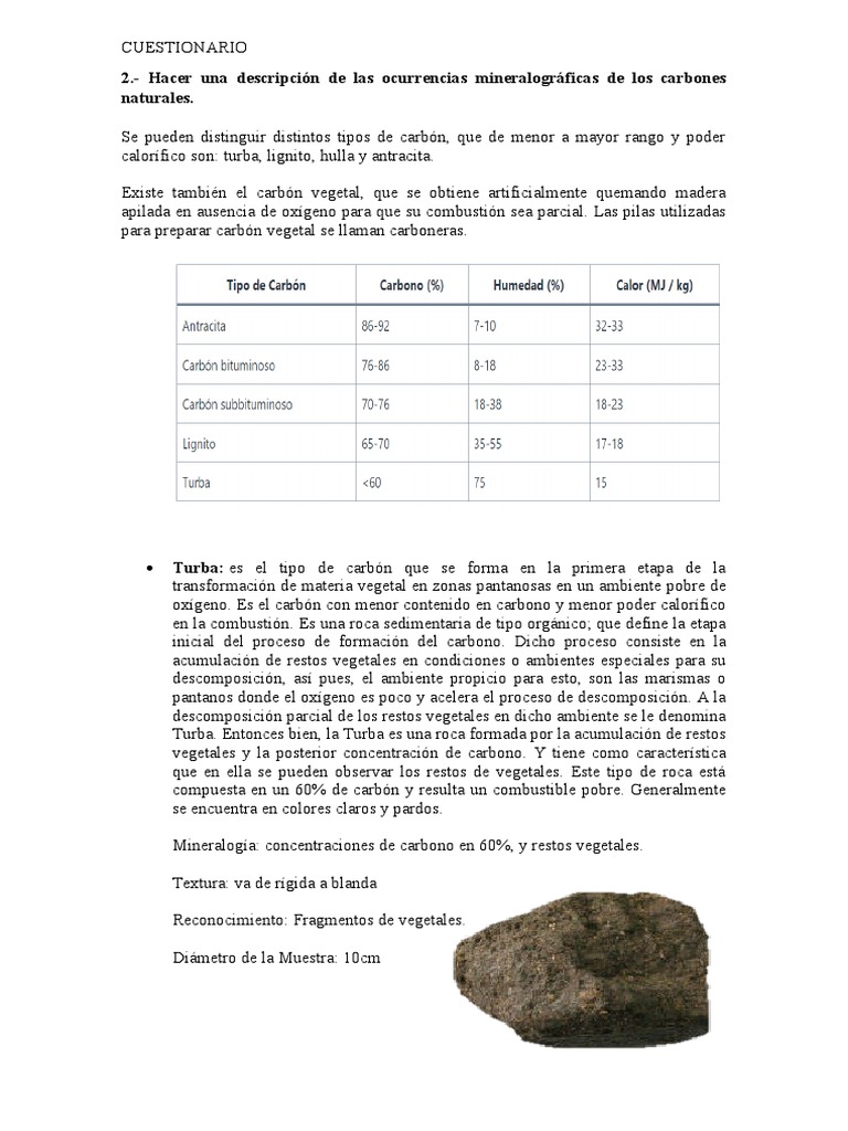 Practica CA. (2) y Cuestionario | Descargar gratis PDF | Turba | Carbón