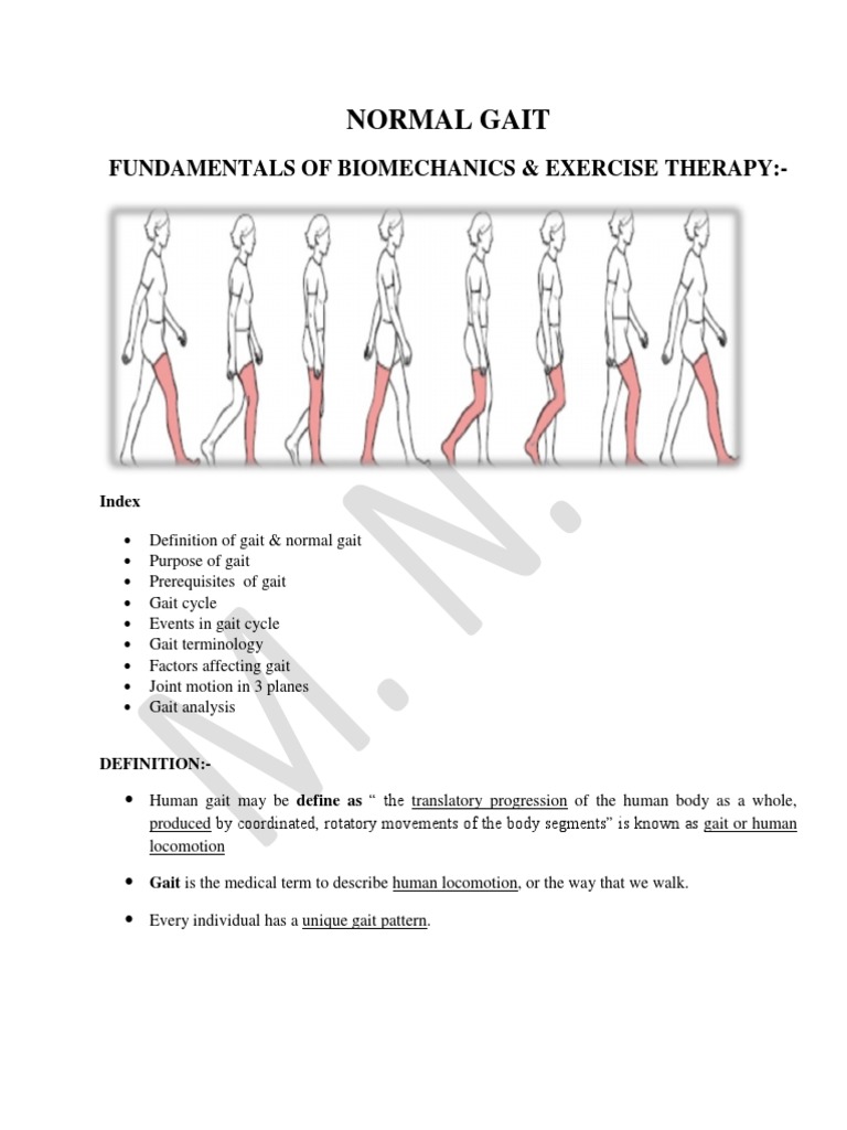 Lecture Notes On NORMAL GAIT by DR M N Siddiqui | PDF | Balance ...