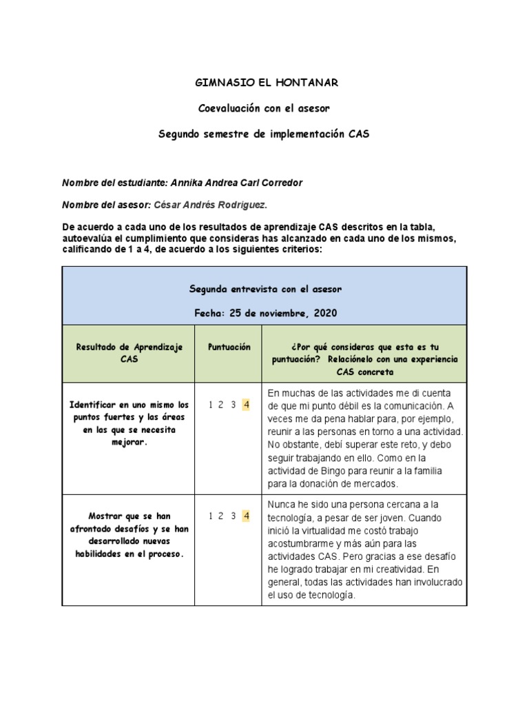 Evaluación Con El Asesor | PDF | Creatividad