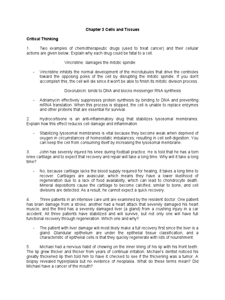 Chapter 3 Cells and Tissues | PDF | Epithelium | Cell (Biology)