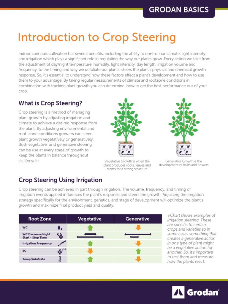 Grodan Report How To Use Crop Steering | PDF | Plants | Irrigation