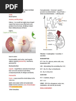 OSCE Checklist for Renal Examination | PDF | Kidney | Edema