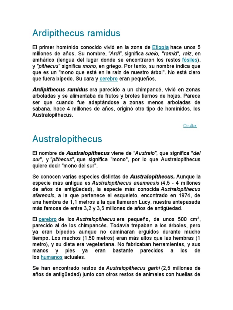 Ardipithecus Ramidus | PDF | Homo | neanderthal