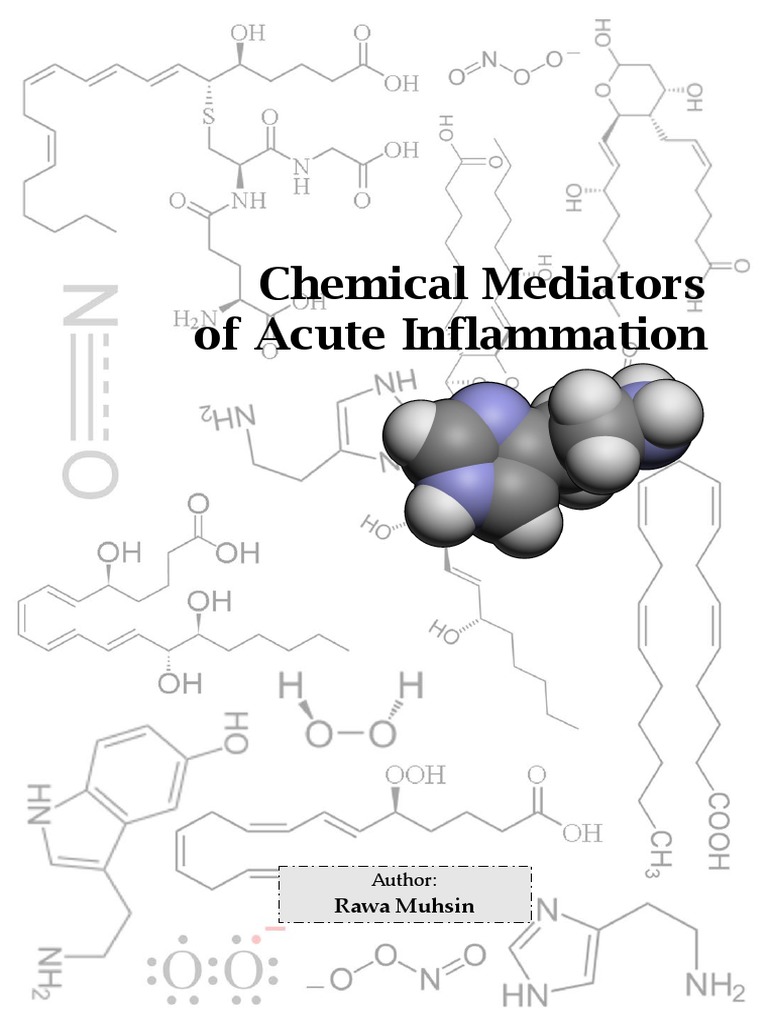 Chemical Mediators of Acute Inflammation - Handout | Download Free PDF | Complement System ...