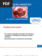 Formula Obstetrica | PDF