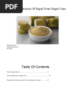 Sucrose Extraction From Sugar Cane | PDF | Sugarcane | Sucrose