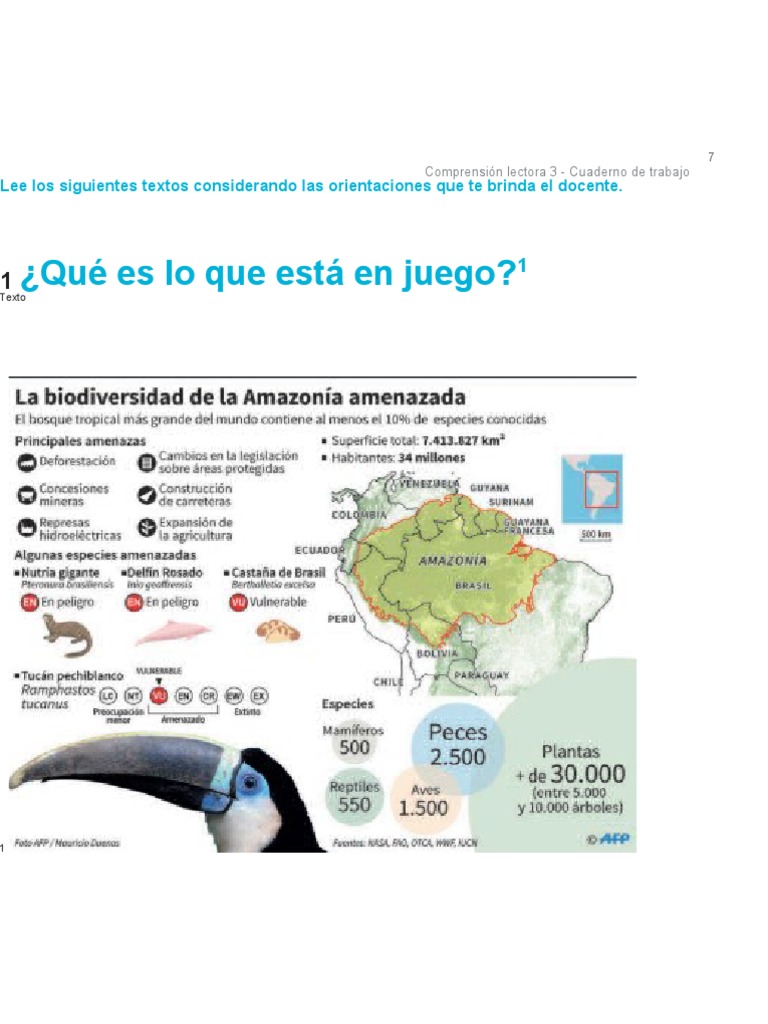 Comprensión Lectora 3, Secundaria Cuaderno de Trabajo | PDF | Selva ...