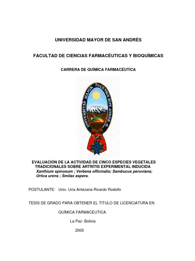 Verbena Tesis 2 Umsa | PDF | Inflamación | Droga anti-inflamatoria ...